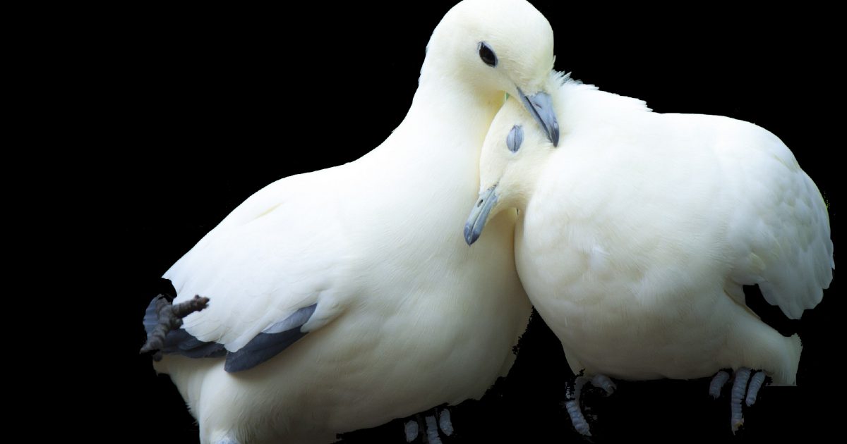 Demons by Lars Norén | The Lir Academy