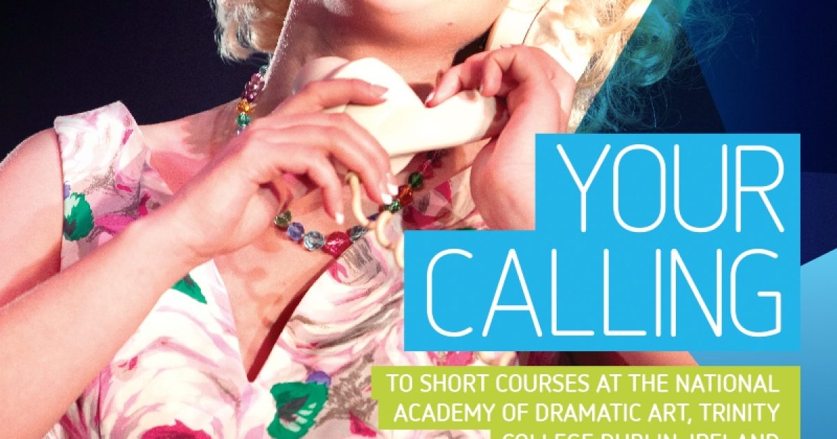 Short Courses Brochure | The Lir Academy